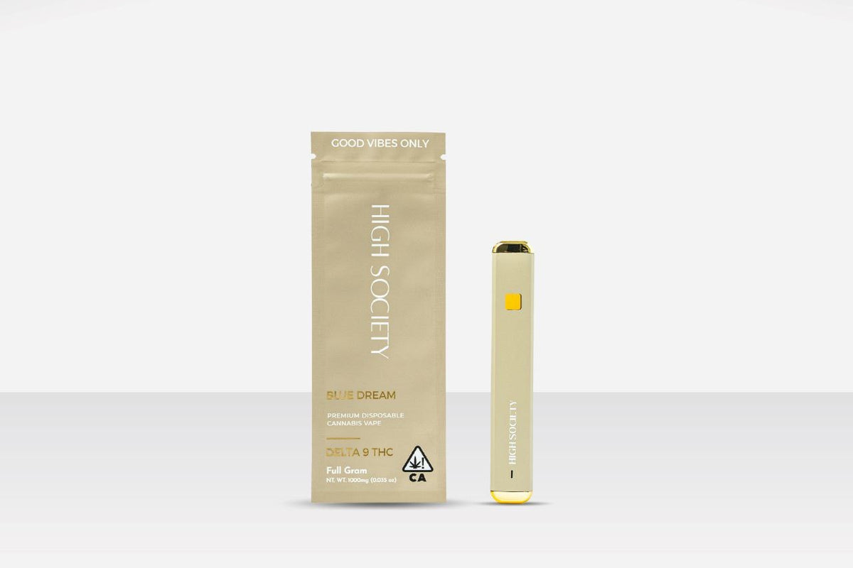 DELTA 9 THC DISPOSABLE VAPE – HEMPCANN LABS